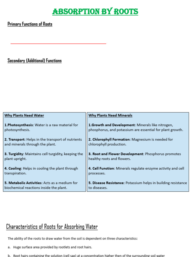 Absorption by Roots (Autosaved) | PDF | Osmosis | Cell Biology