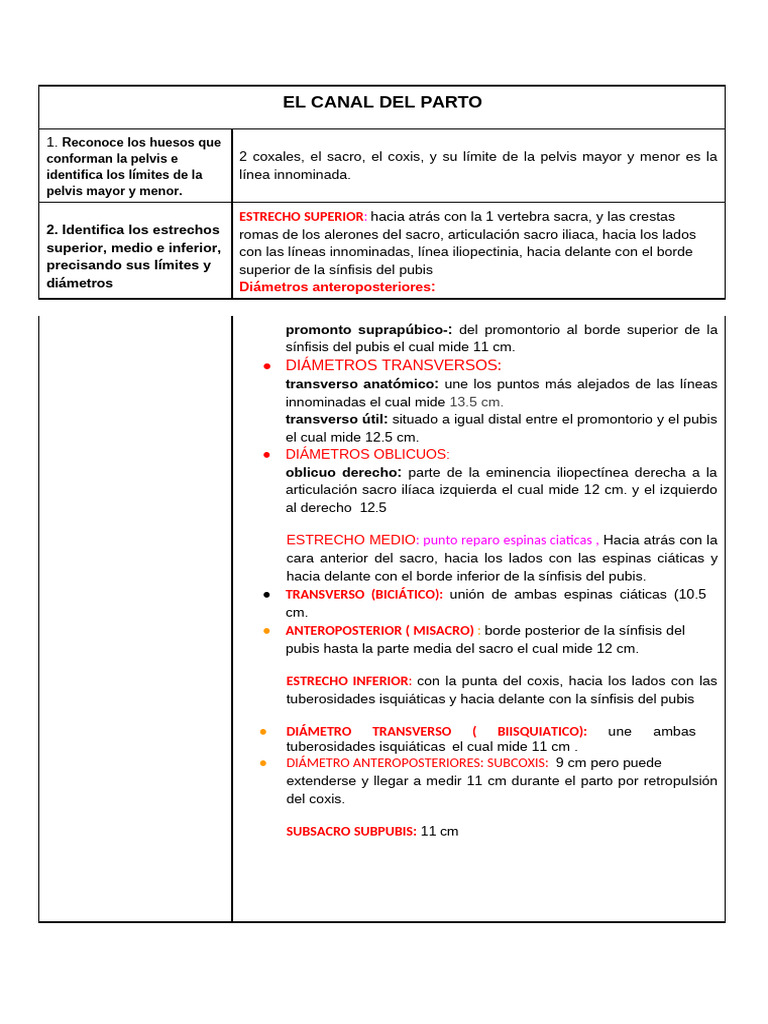 EL CANAL DEL PARTO Acreditacion | PDF | Pelvis | Sistema musculoesquelético