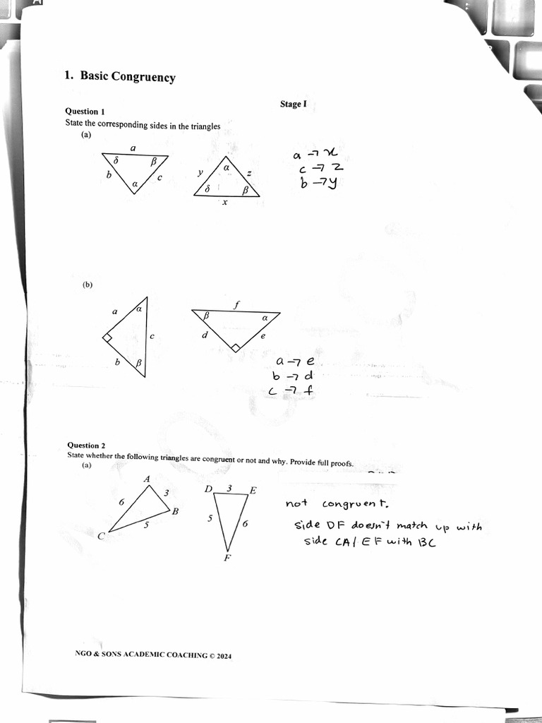 Homework Term 1 Week 8 NGO and Sons | PDF