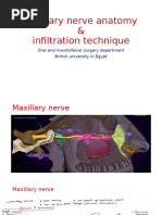 Maxillary Injections Cheat Sheet | PDF | Dentistry | Dentistry Branches