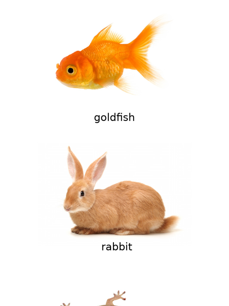 Unit 3 Lesson 2 | PDF