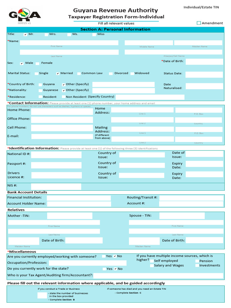 New TIN Application Form | PDF | Taxes