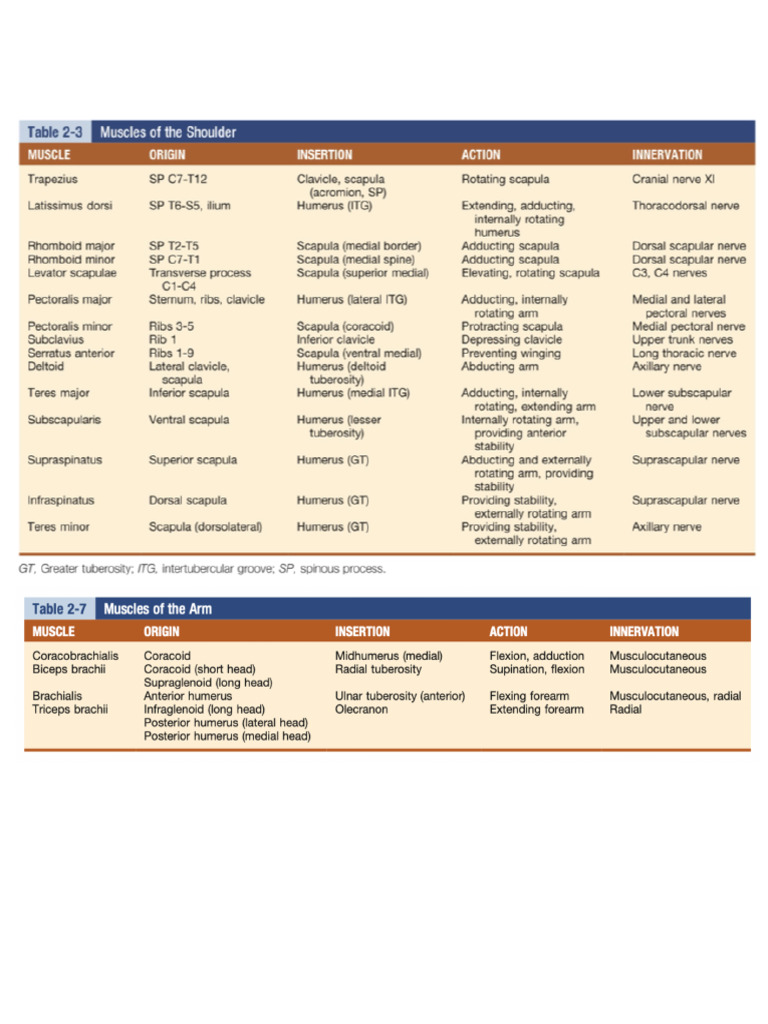 Upper Limb Table Compilation | PDF
