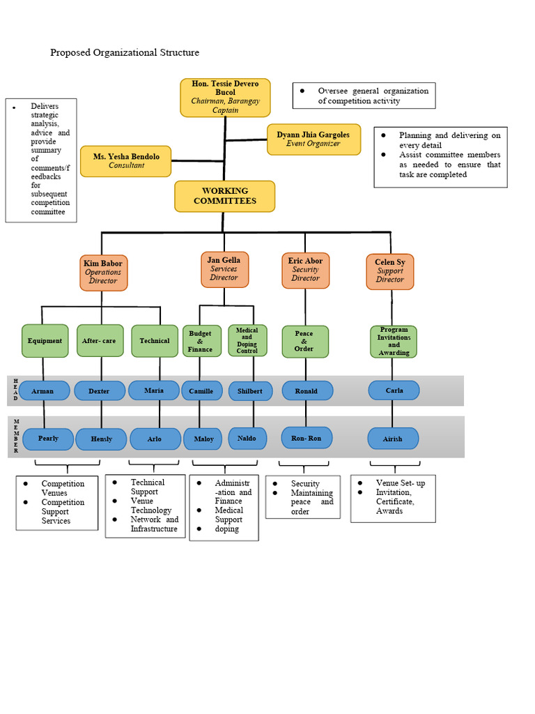 Proposed Organizational Structure | PDF