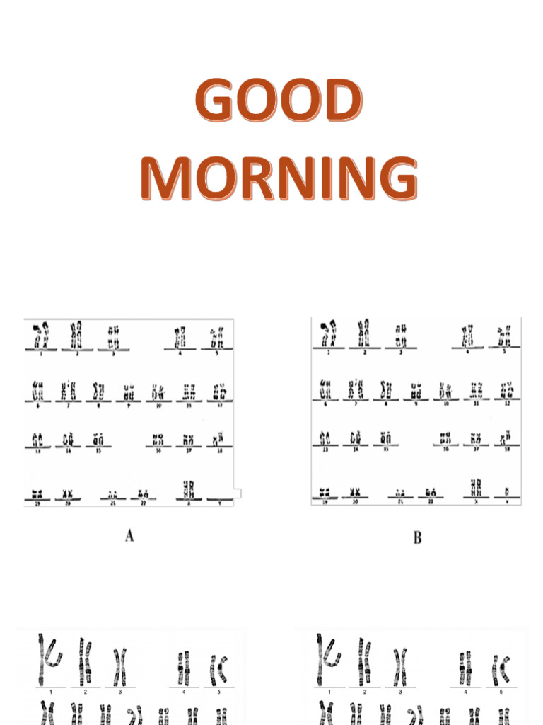 Genbio+2+Mod.+10+Autosomal+and+e Linked+Disorders | PDF | Karyotype ...