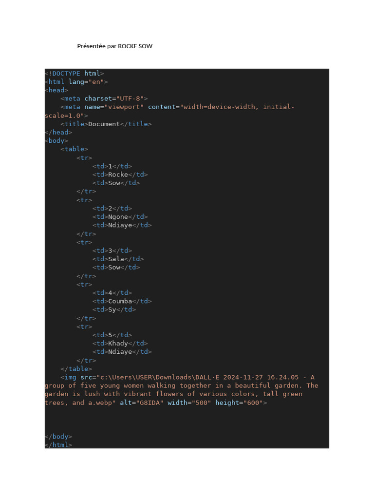 Présentée Par ROCKE SOW - Docx html5 | PDF