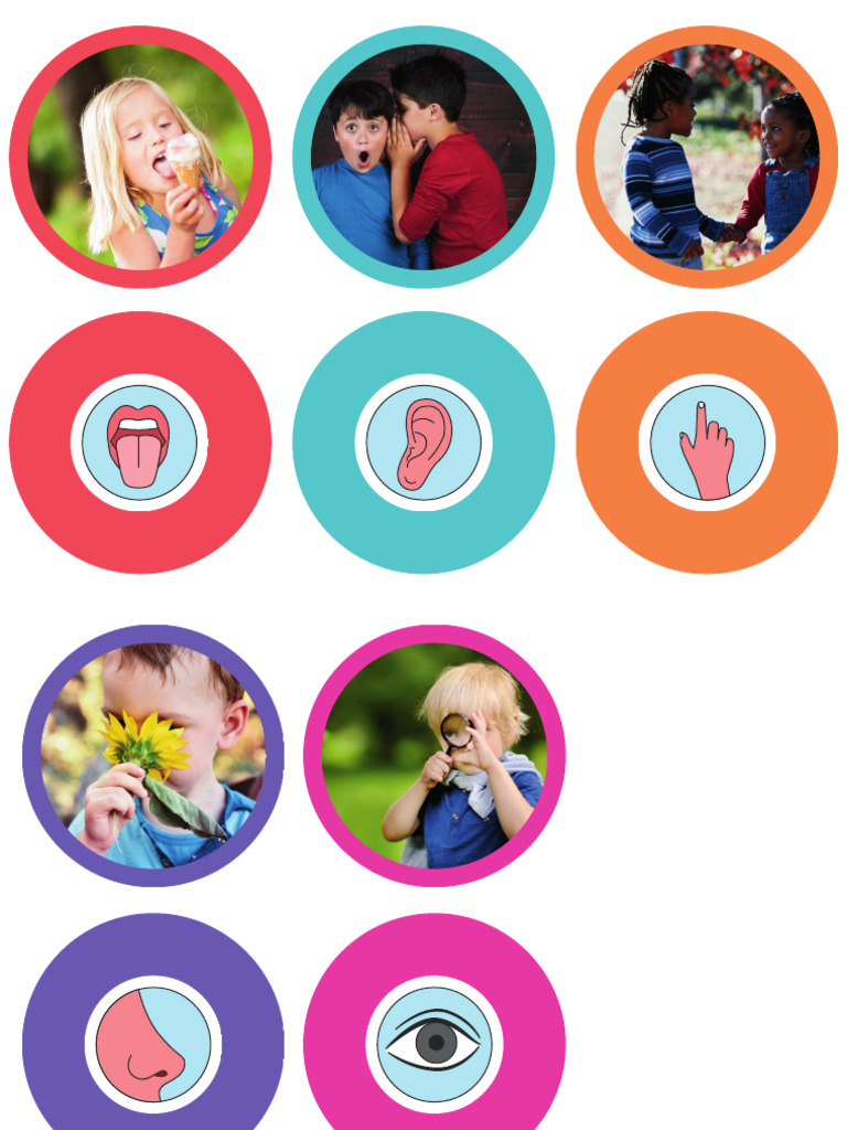 The Five Senses Flashcards in Colorful Illustrations - 20250527 ...