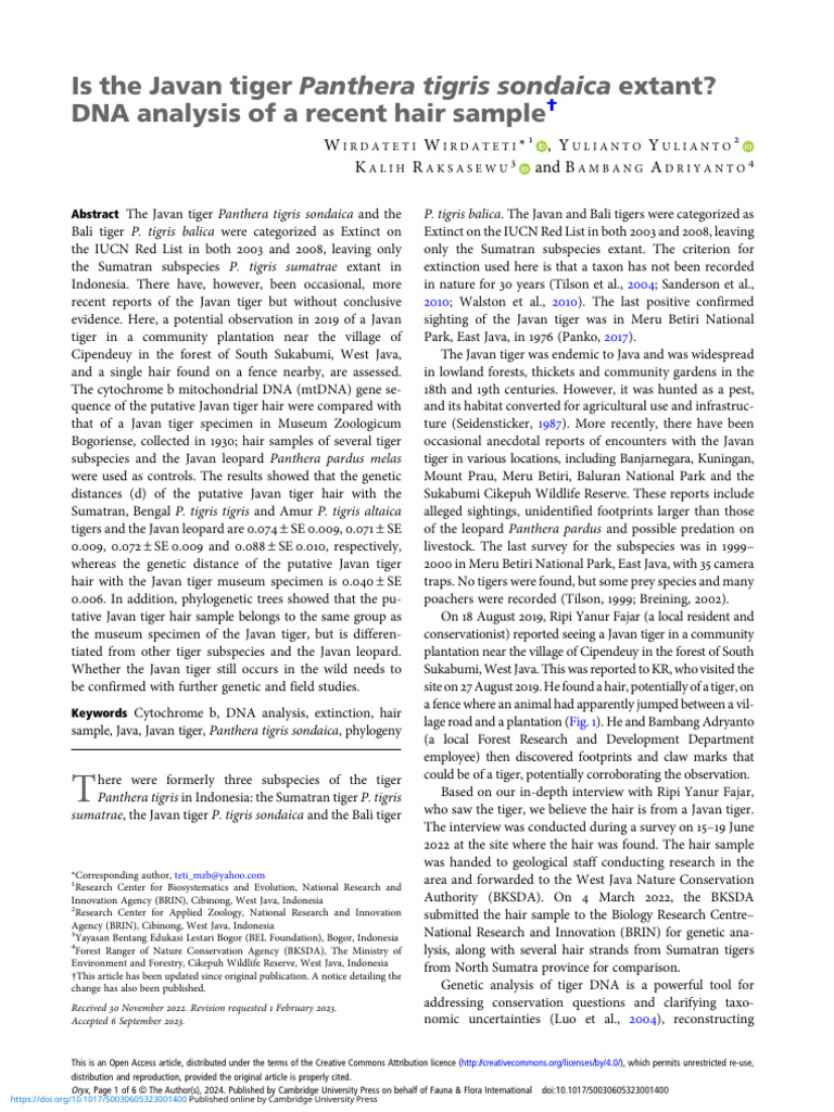 Is The Javan Tiger Panthera Tigris Sondaica Extant Dna Analysis of A ...