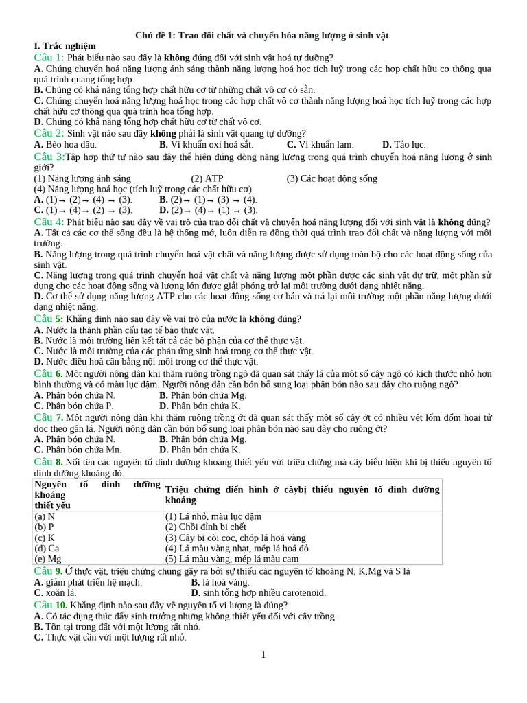 On Tap | PDF