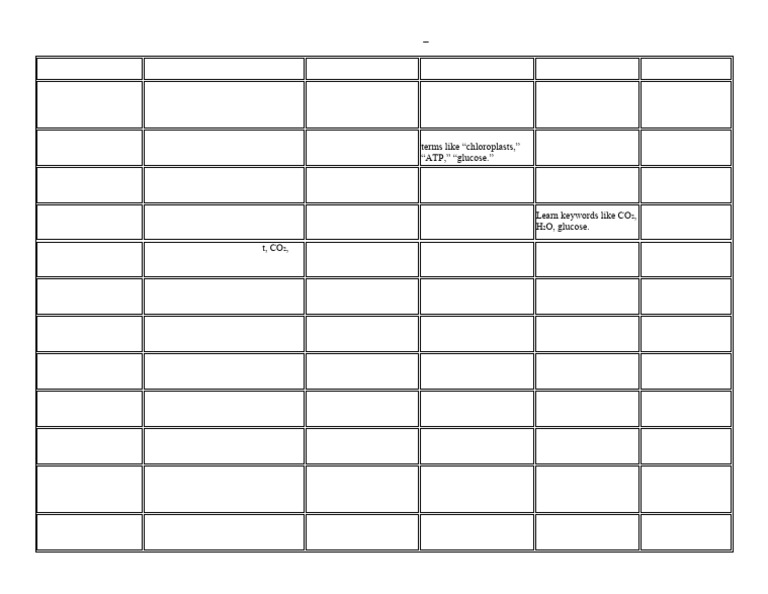 NB Rubrics Plant and Food | PDF | Photosynthesis | Experiment