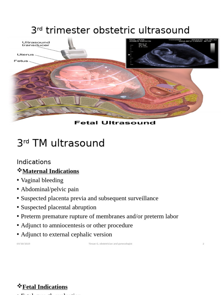 3rd Trimester Obstetric Ultrasound | PDF | Prenatal Development ...