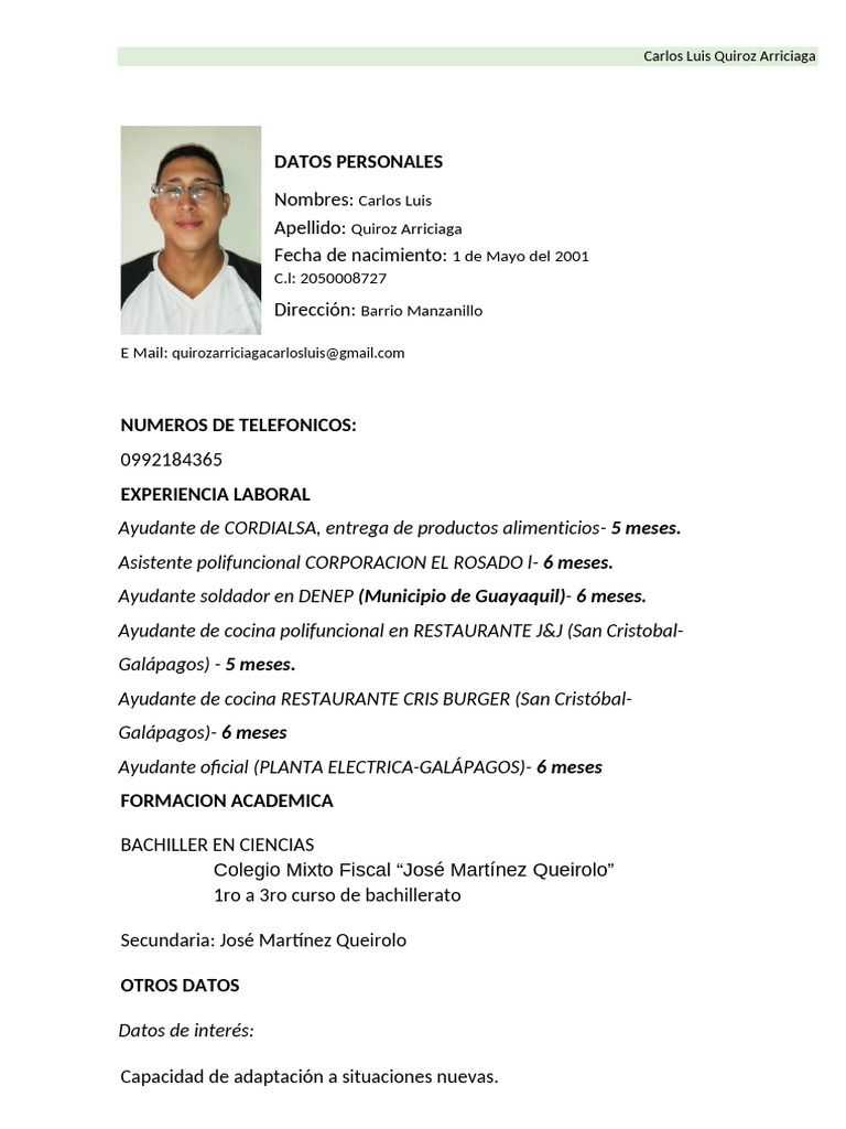 Cv. Carlos Luis Quiroz Nuevo | PDF