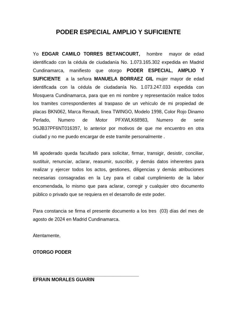 Poder Especial Amplio y Suficiente | PDF