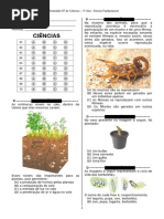 Prova 3b - 3º Ano Ciências | PDF