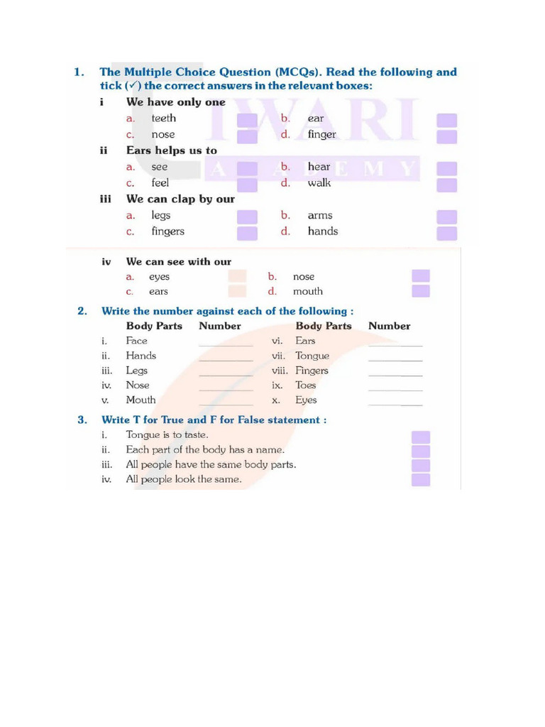 1st Standard My Body | PDF