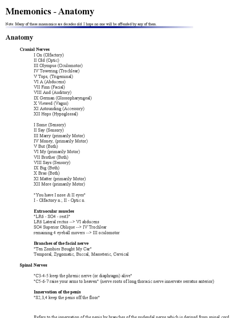 Mnemonics - Anatomy | PDF | Musculoskeletal System | Neuroanatomy