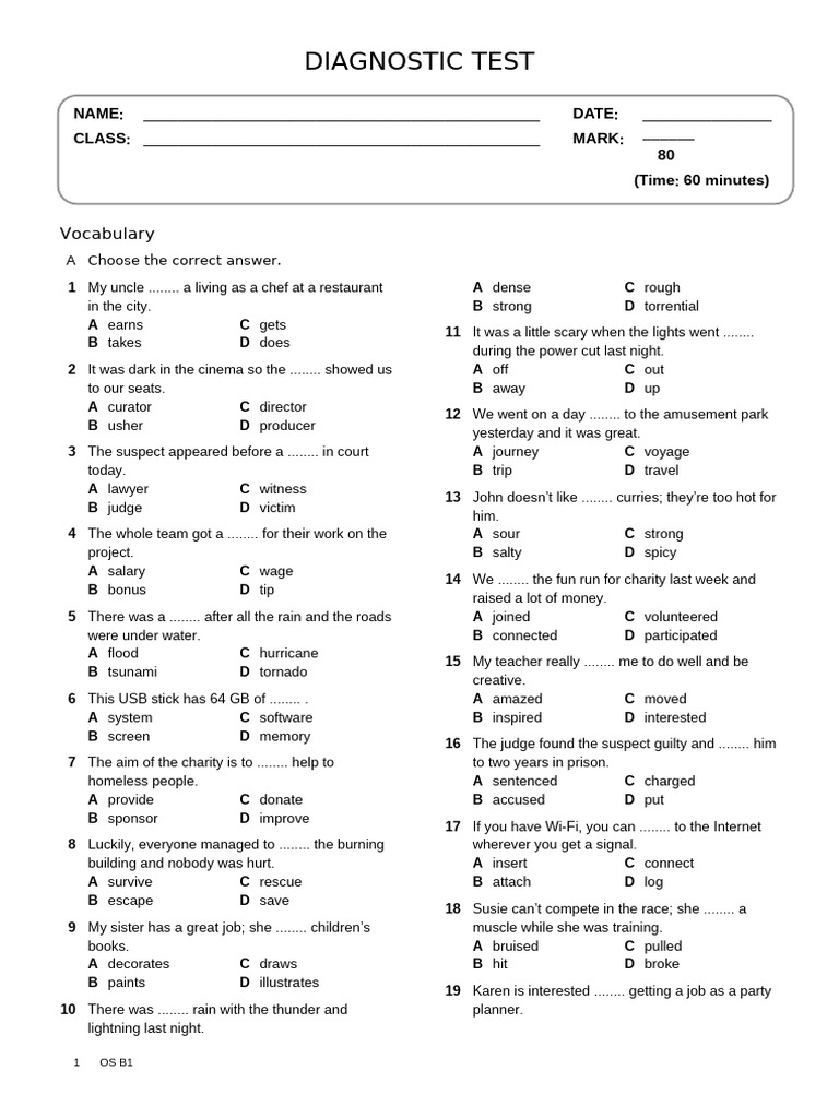 OnScreen B1 Diagnostic Test | PDF