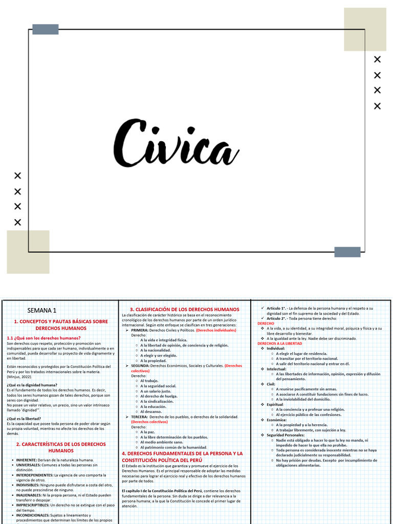 CIVICA Resumenes Estef | PDF | Derechos humanos | Habeas corpus