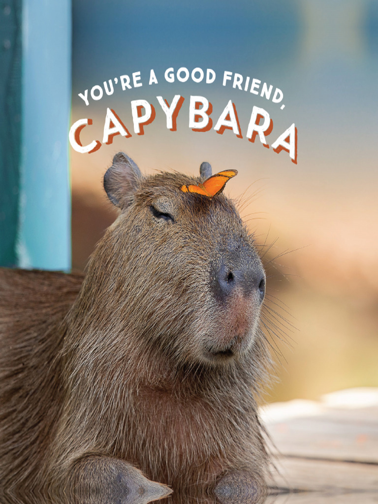 Capybara: A Good Friend's Guide | PDF | Zoology | Animals And Humans