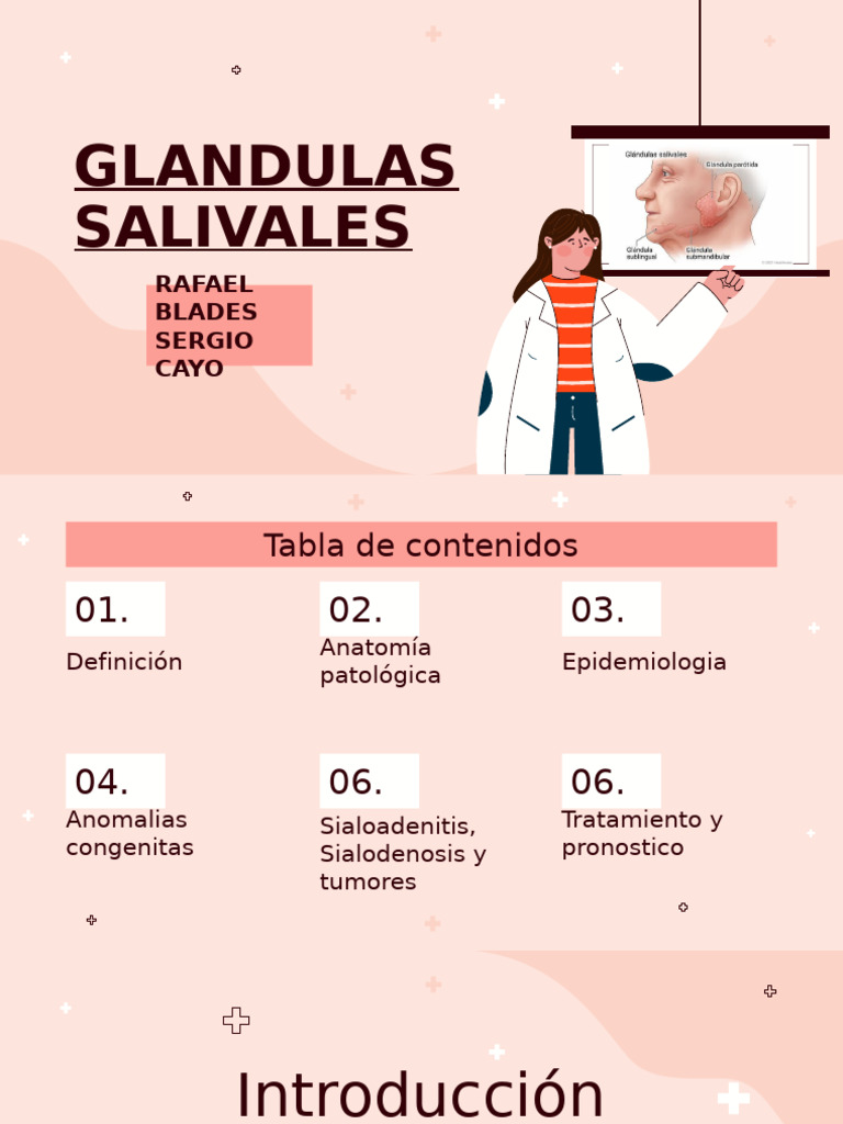 Glandulas Ciru Completo | PDF | Saliva | Digestión