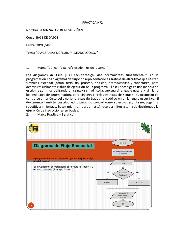 INFORME DIAGRAMAS DE FLUJO Y PSEUDOCÓDIGO N°2 | PDF | Algoritmos | Lenguaje de programación