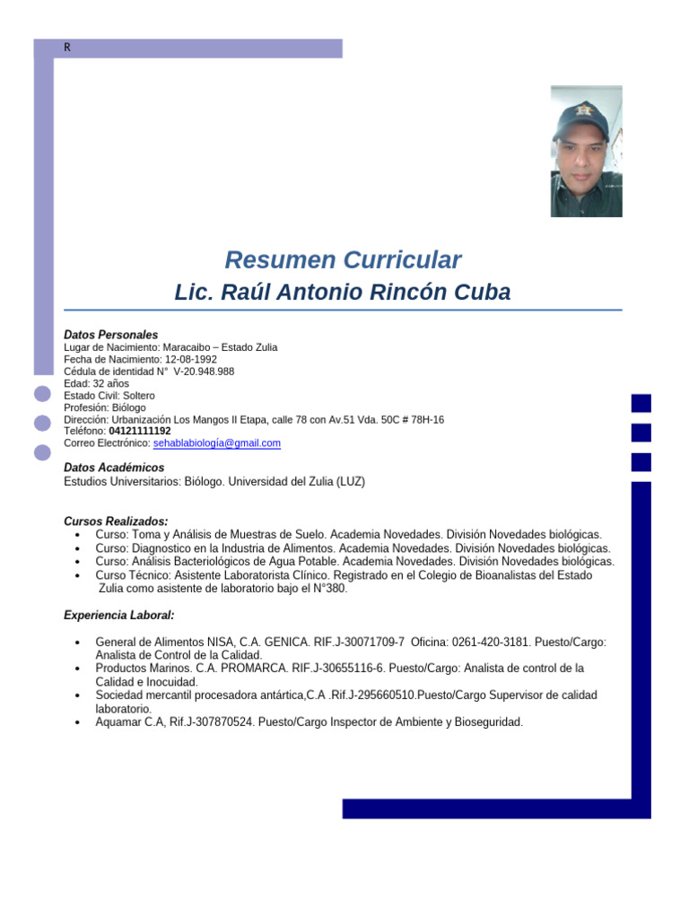 Curriculum Raul | PDF