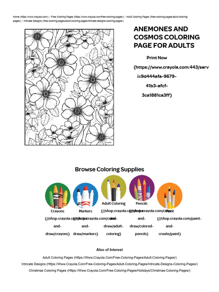 Anemones and Cosmos Coloring Page For Adults | PDF