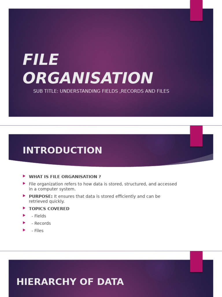 Understanding File Organization Basics | PDF | Computer File | Databases