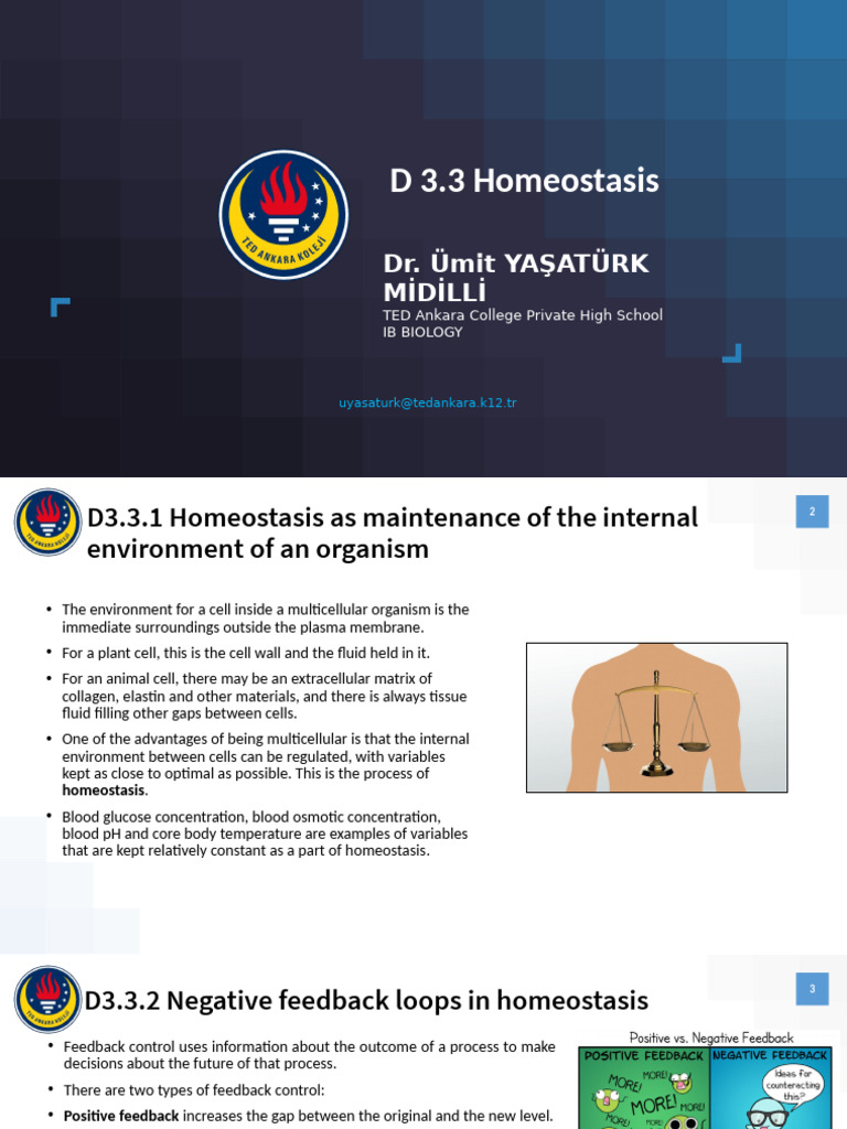 D 3.3 Homeostasis | PDF | Diabetes | Homeostasis