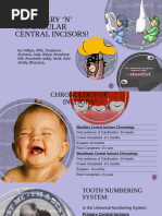 Anatomy of Maxillary Central Incisor | PDF | Dental Anatomy | Dentistry ...