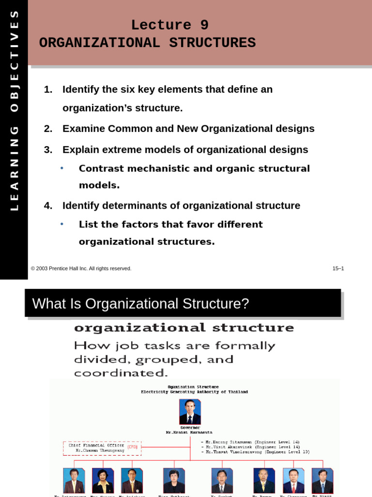 Organization Structures | PDF | Organizational Structure | Business