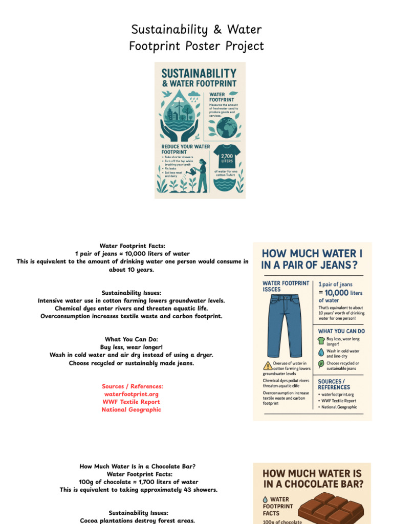 Sustainability & Water Footprint Poster Project | PDF | Water | Agriculture