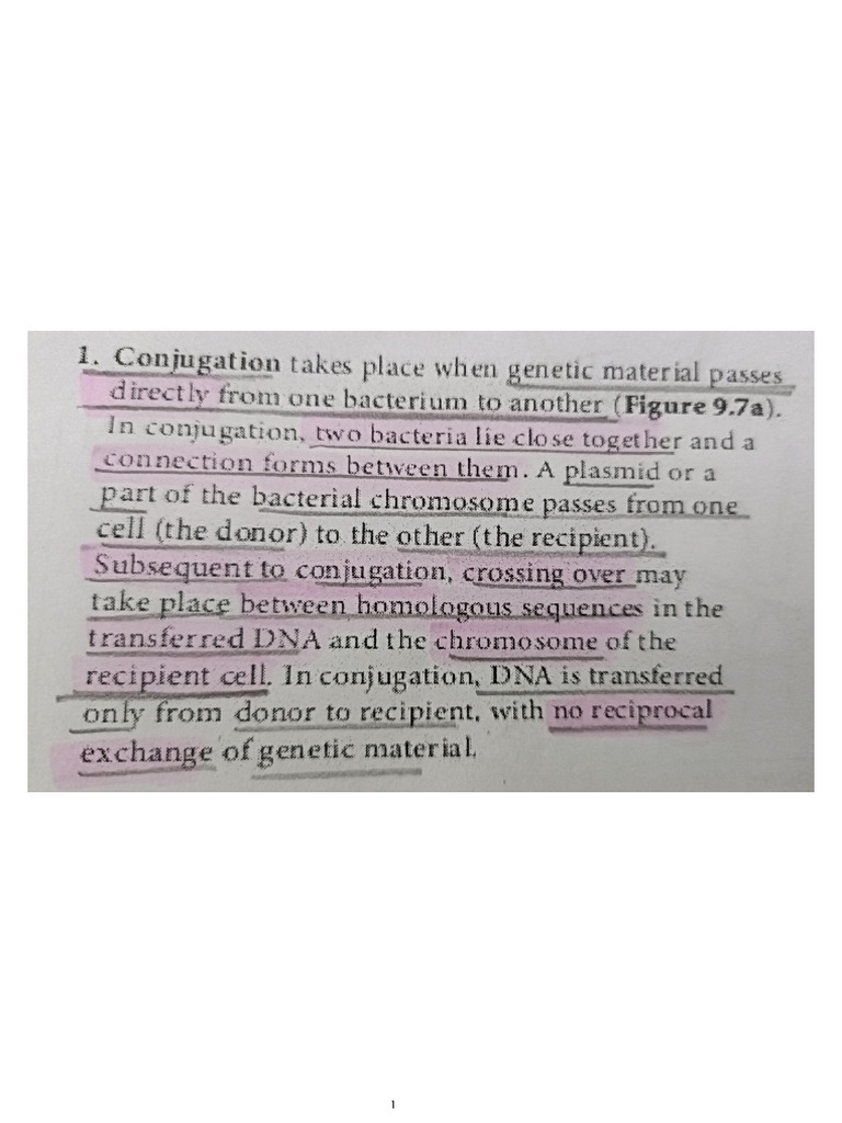 Conjugation | PDF