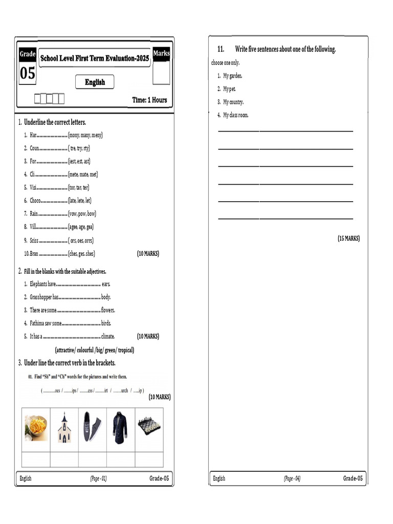 Grade 5 English Exam Practice Paper | PDF | Botany