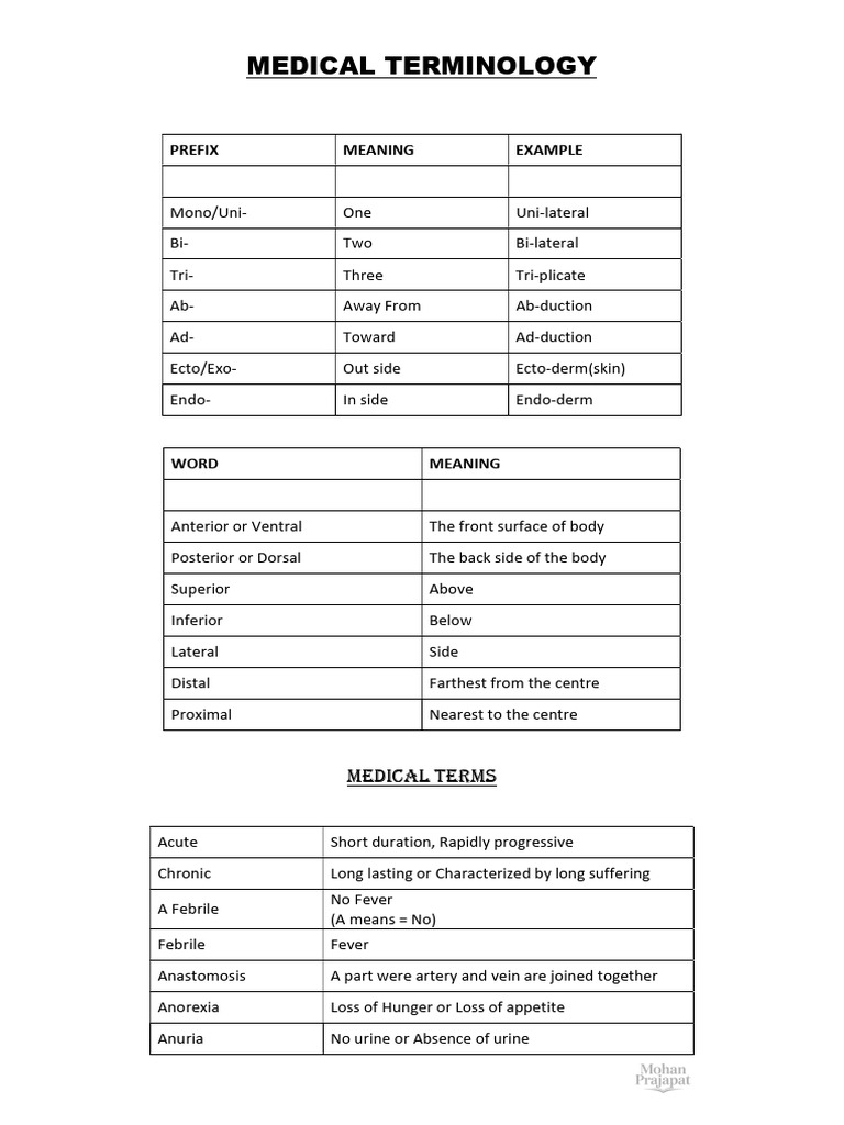 Medical Terms & Computer | PDF | Respiratory Tract | Heart Valve