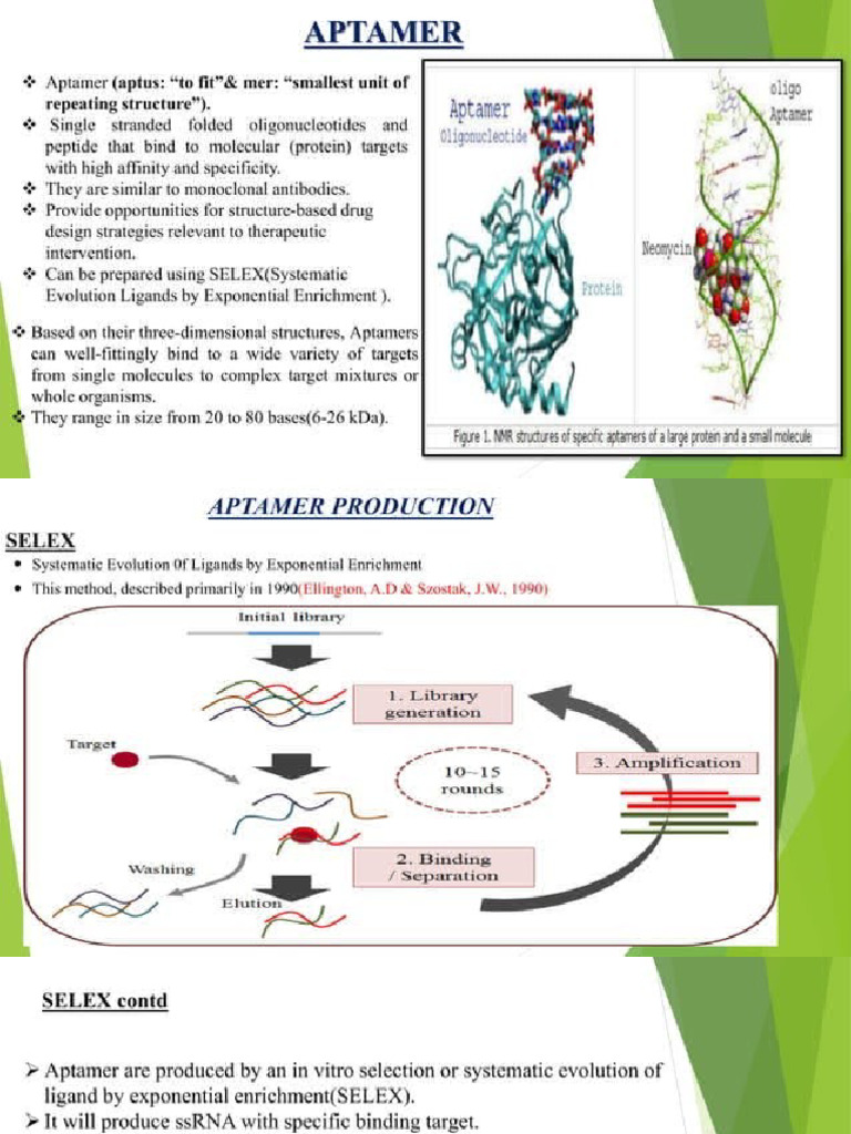 Aptamer Structure | PDF