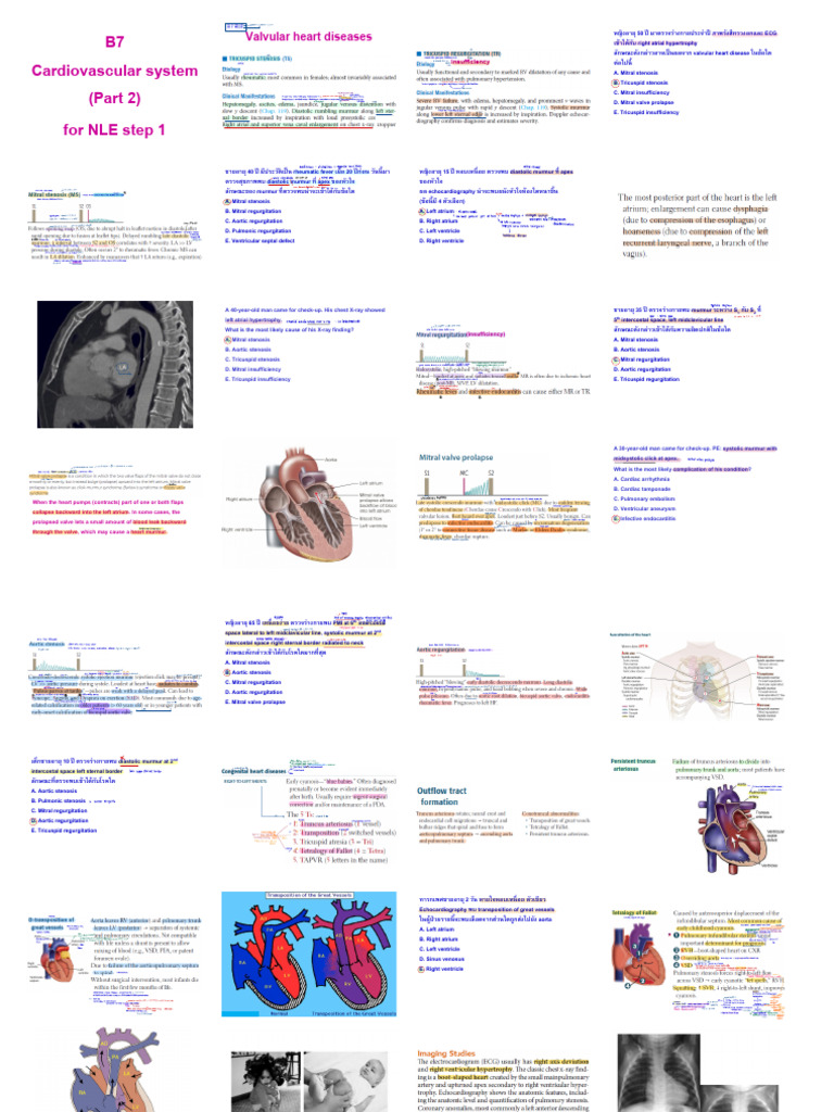 15 - B7 - 2019 - Part 2 (Handout) PDF | PDF