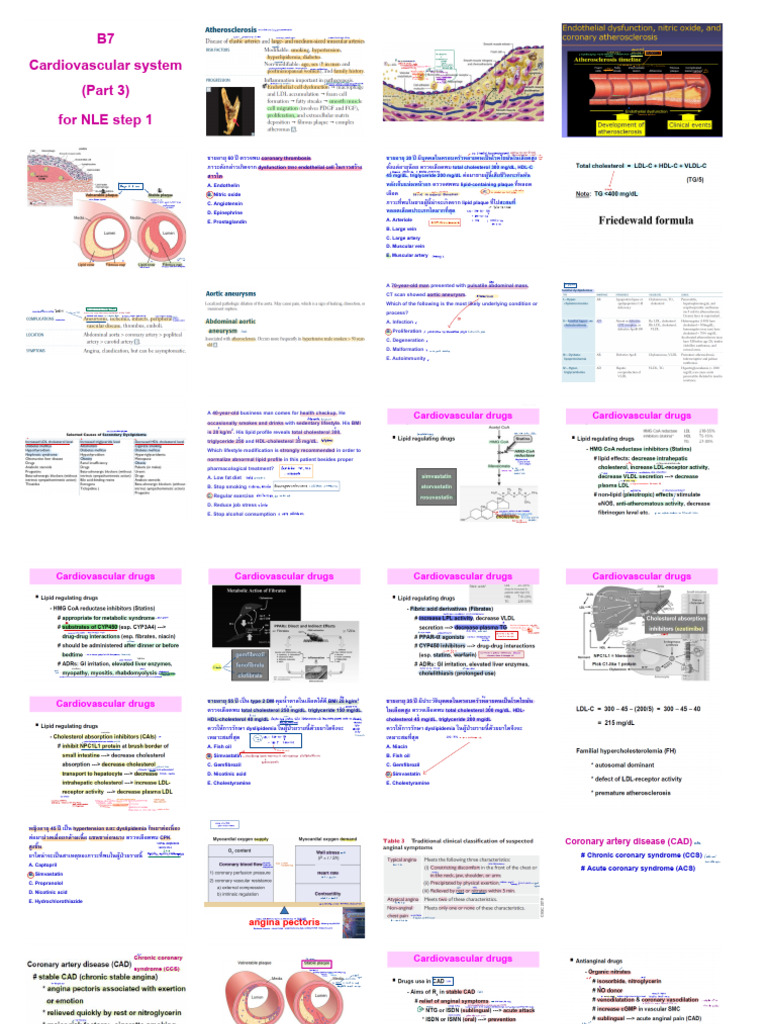 16 - B7 - 2019 - Part 3 (Handout) - PDF | PDF