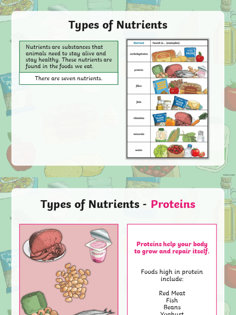 Lesson-Presentation-Types-of-Nutrition-2 | PDF | Foods | Nutrients