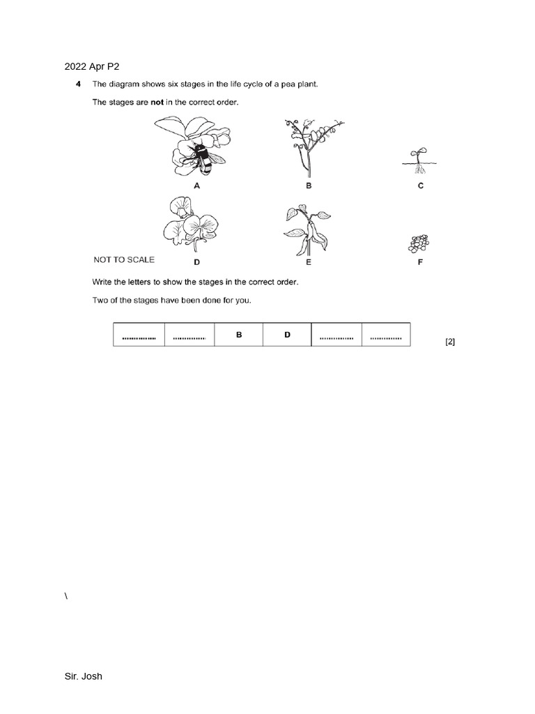 Plant Reproduction Practice Question | PDF