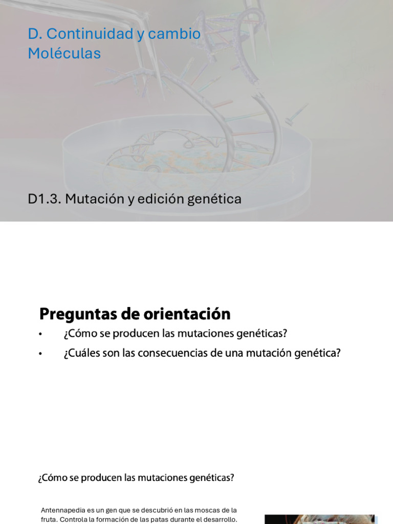 D1.3 Mutación y Edición Génica | PDF | Mutación | Polimorfismo de ...