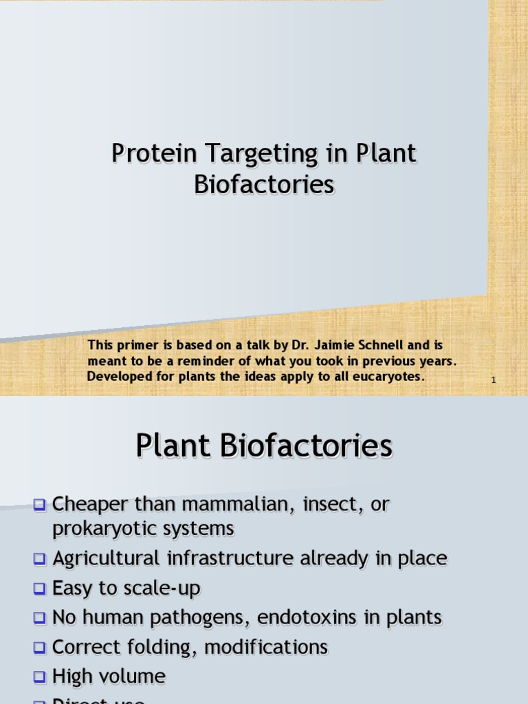 Protein Targeting in Plant Biofactories | PDF | Protein Targeting ...