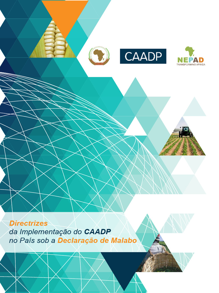 31718-Doc-caadp Implementation Guide Port Repro (1) | PDF | Agricultura ...