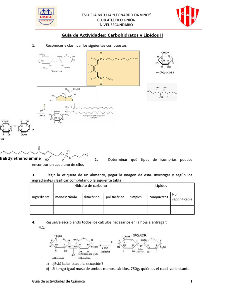 7.gu-A Carbohidratos y L-Pidos II | PDF