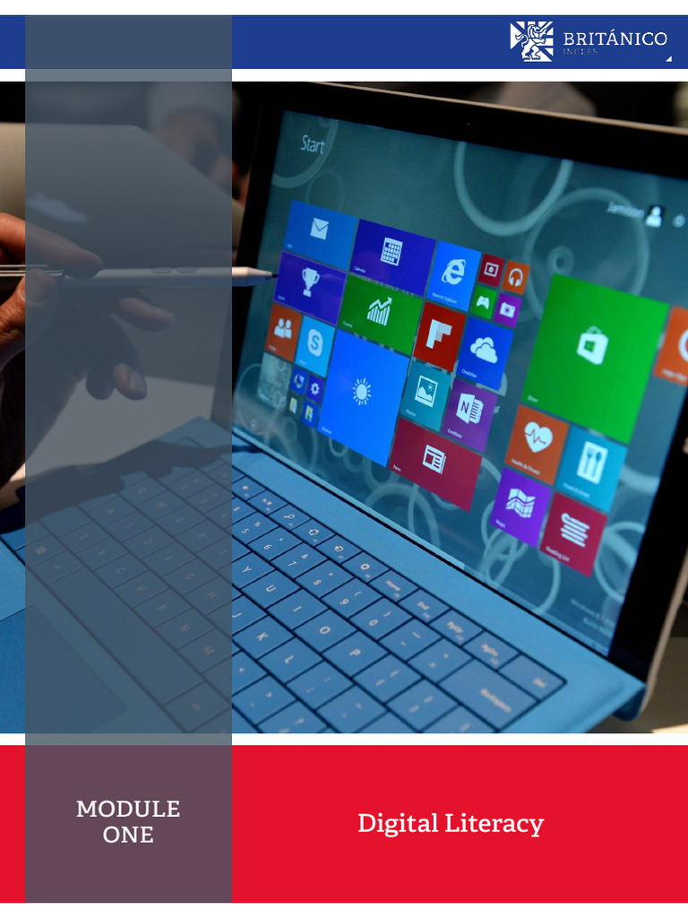 Module 1 - Digital Literacy | PDF