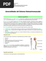 Guía de Reparos Anatómicos Óseos | PDF