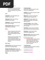 Human Body Bones List (206) | PDF | Vertebra | Toe