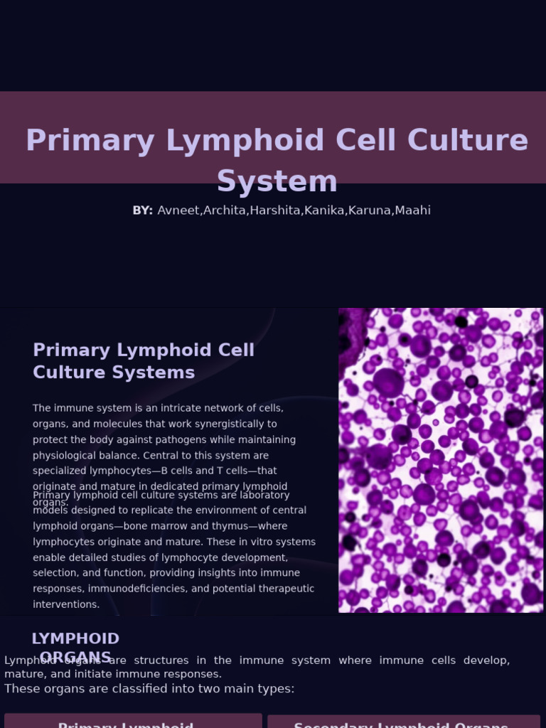 Primary Lymphoid Cell Culture Systems | PDF | Lymphocyte | T Cell