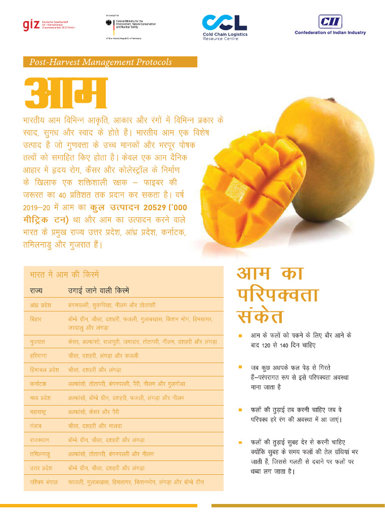Mango Hindi | PDF