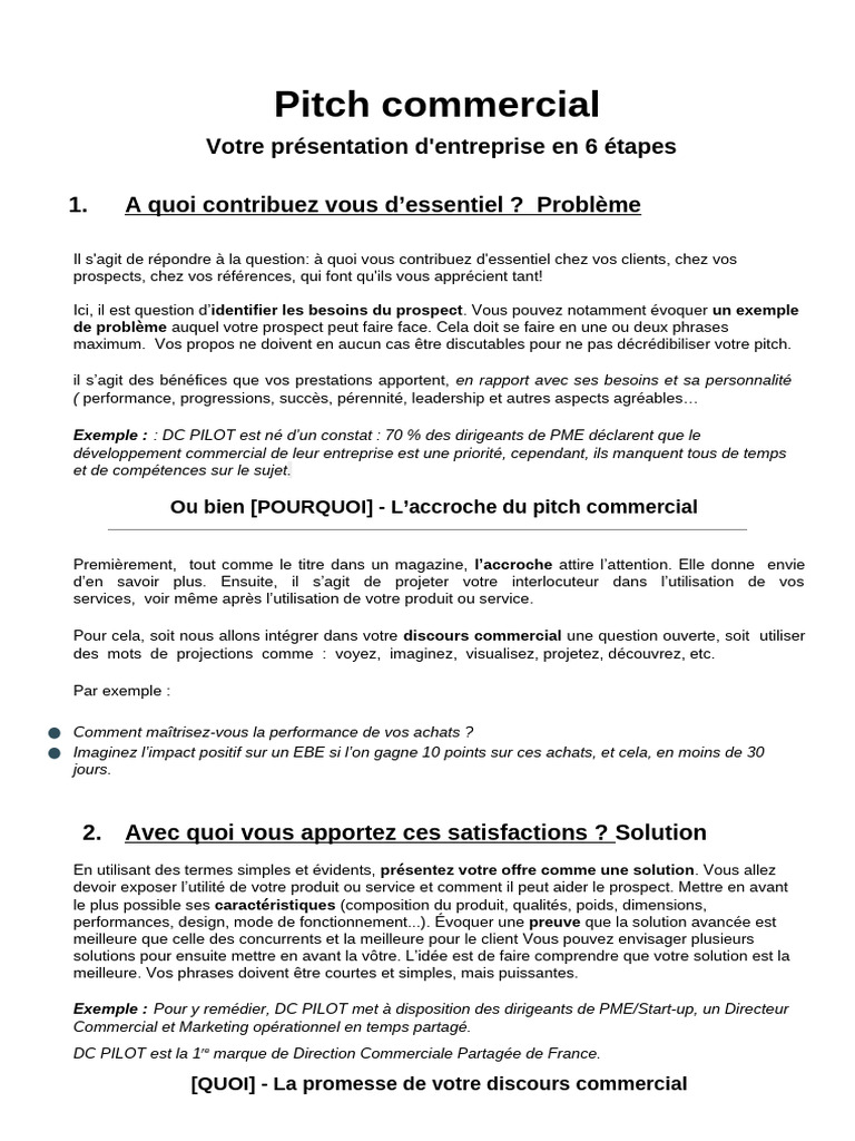 Pitch Commercial : Stratégies et Solutions | PDF | Business ...